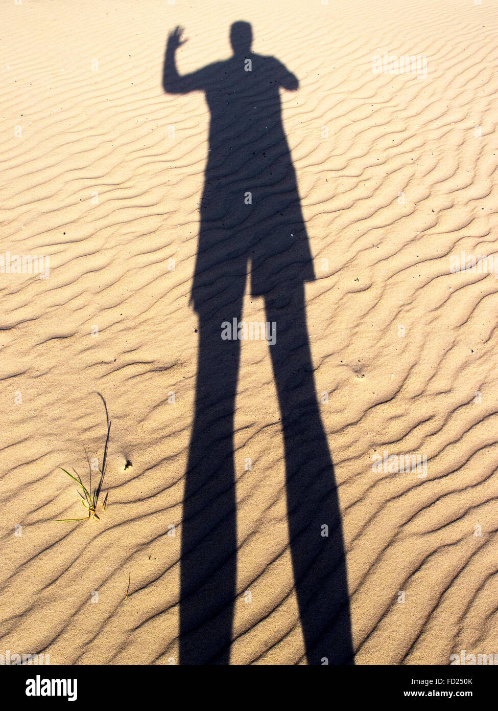 Human shadow on beach hi-res stock photography and images - Alamy