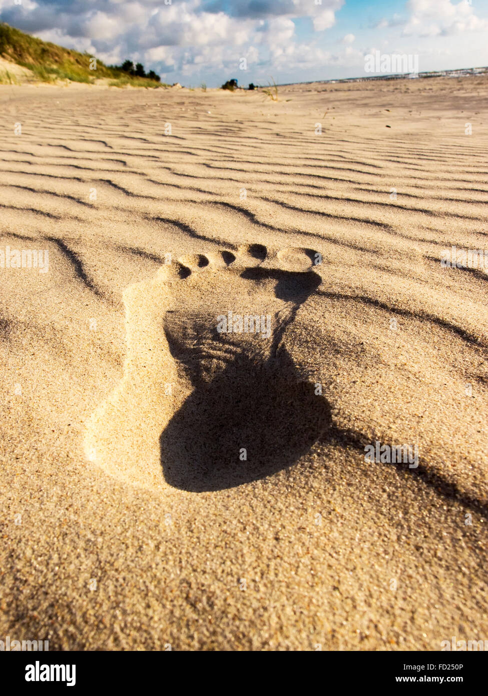 One Human footprints on beach sand Stock Photo - Alamy