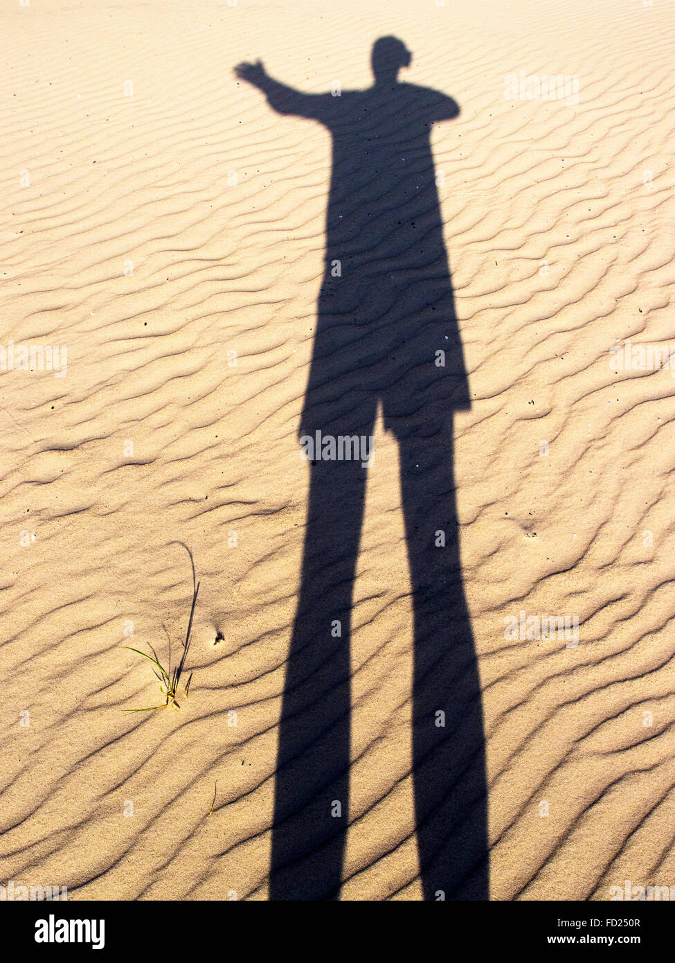 Human shadow on beach hi-res stock photography and images - Alamy