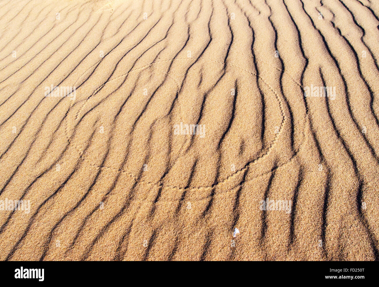 Seamless texture of sand beach. Sand background template Stock Photo ...