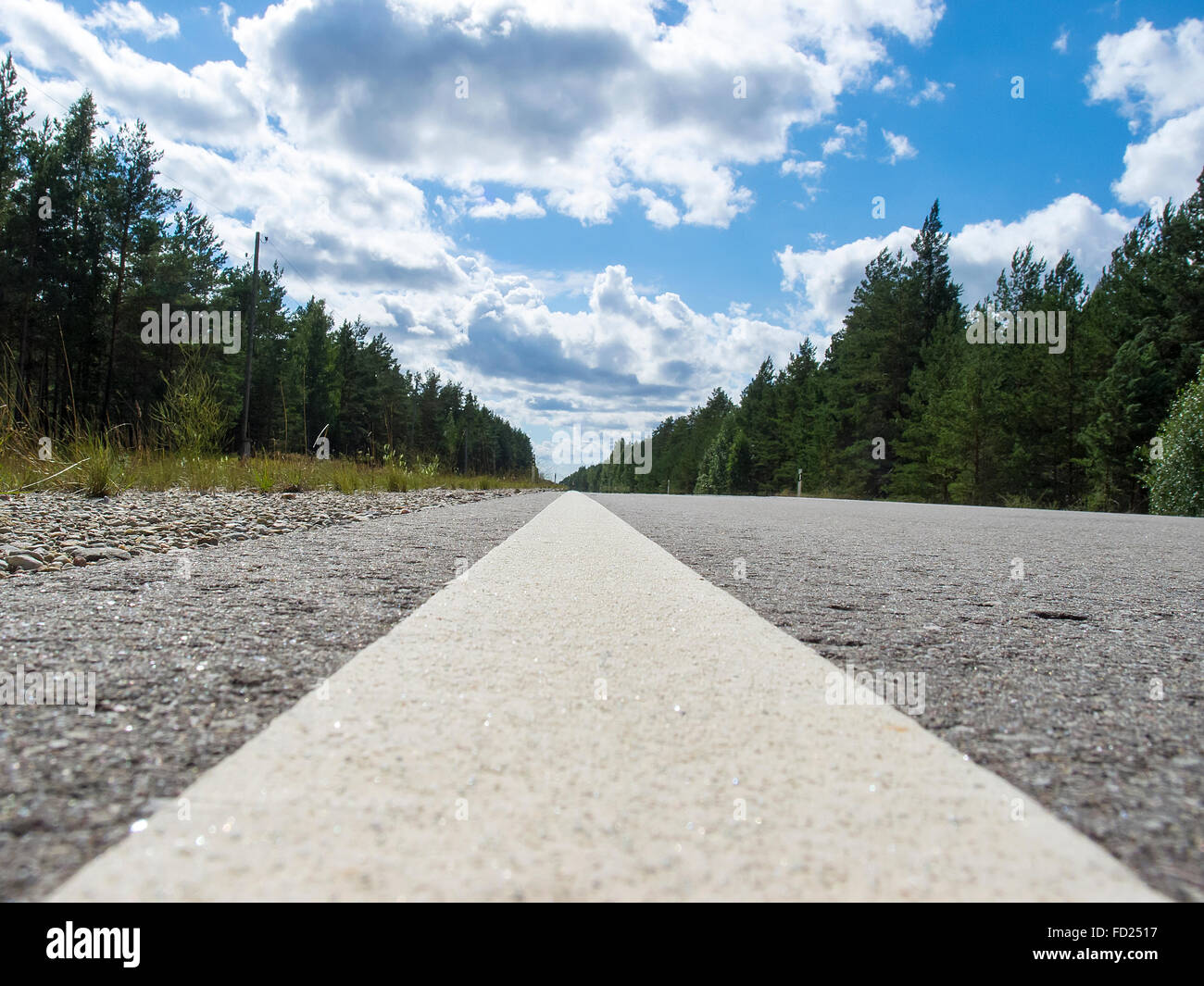 white stripe on the pavement between the trees with blue sky Stock ...