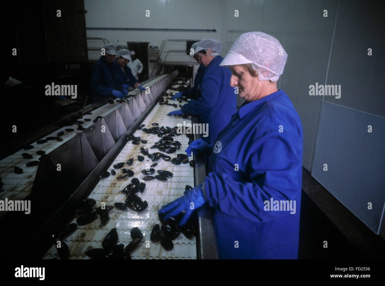 Bantry bay Seafoods, Gortalassa, County Cork Ireland. Rope-grown Mussel ...