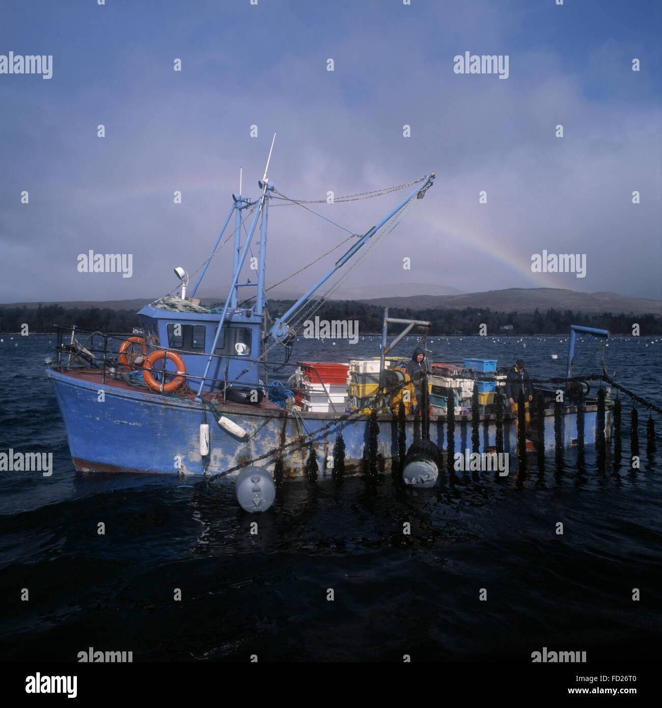 Bantry bay Seafoods, Gortalassa, County Cork Ireland. Rope-grown Mussel ...