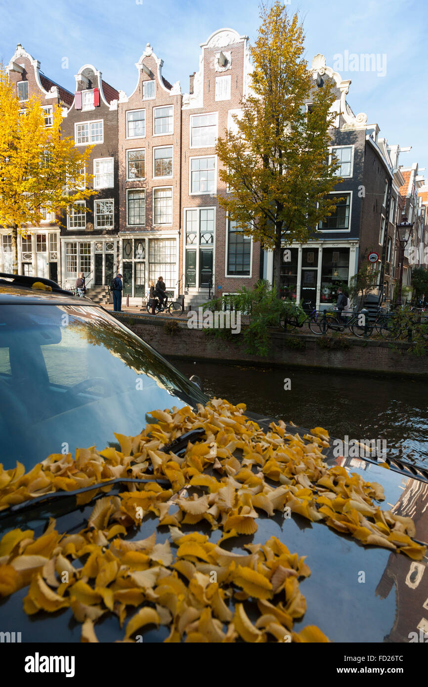 Amsterdam tree lined canals hi-res stock photography and images - Alamy