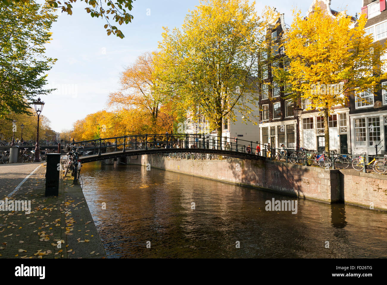 Foot bridge / footbridge over canal / canals with tree lined road in ...