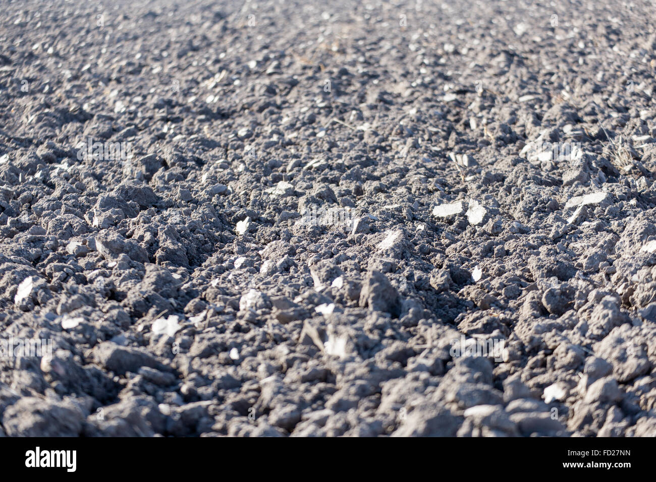 Plough Agriculture Field Before Sowing. Dry Agricultural Brown Soil ...