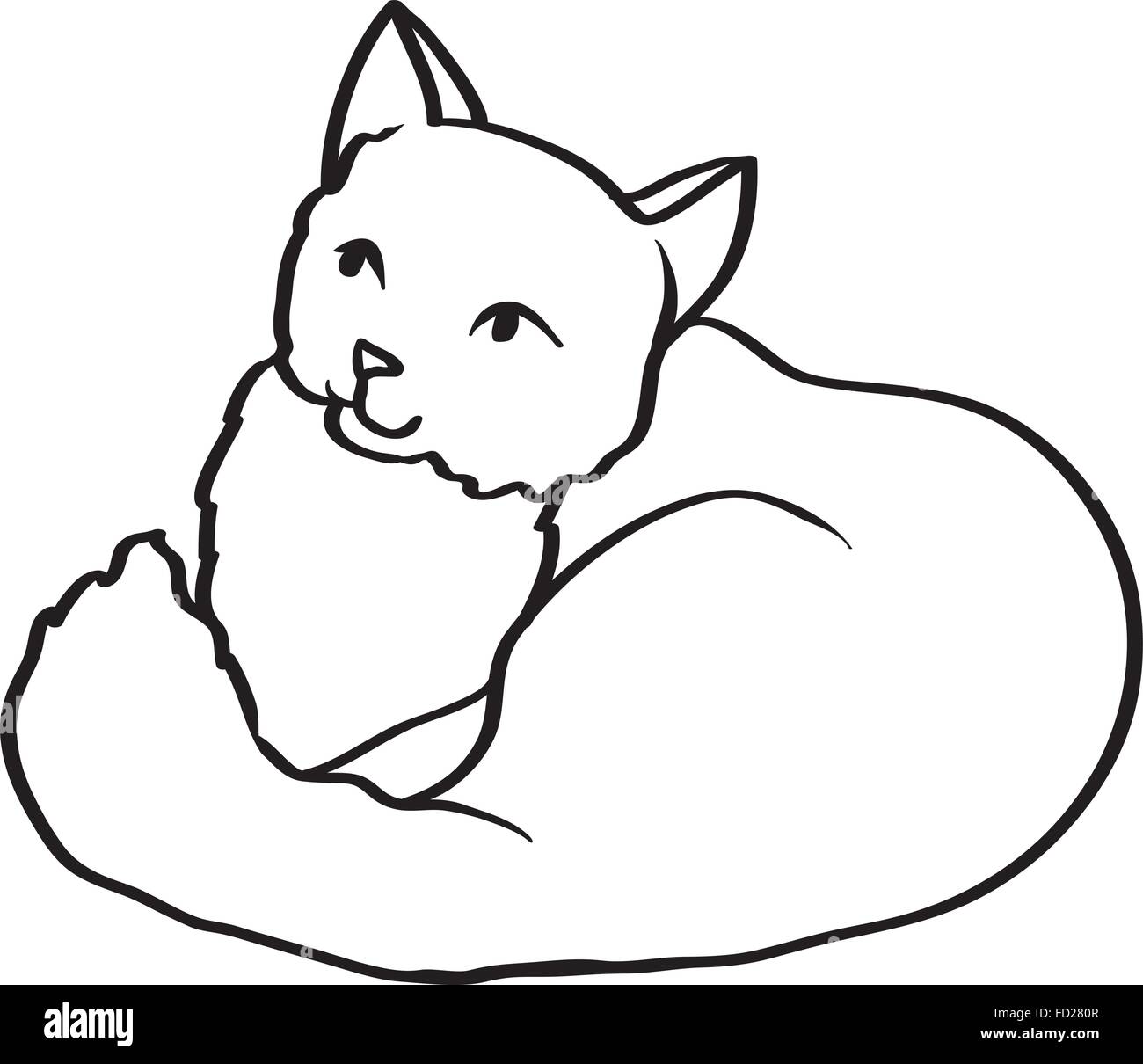 Cat contour hi-res stock photography and images - Alamy