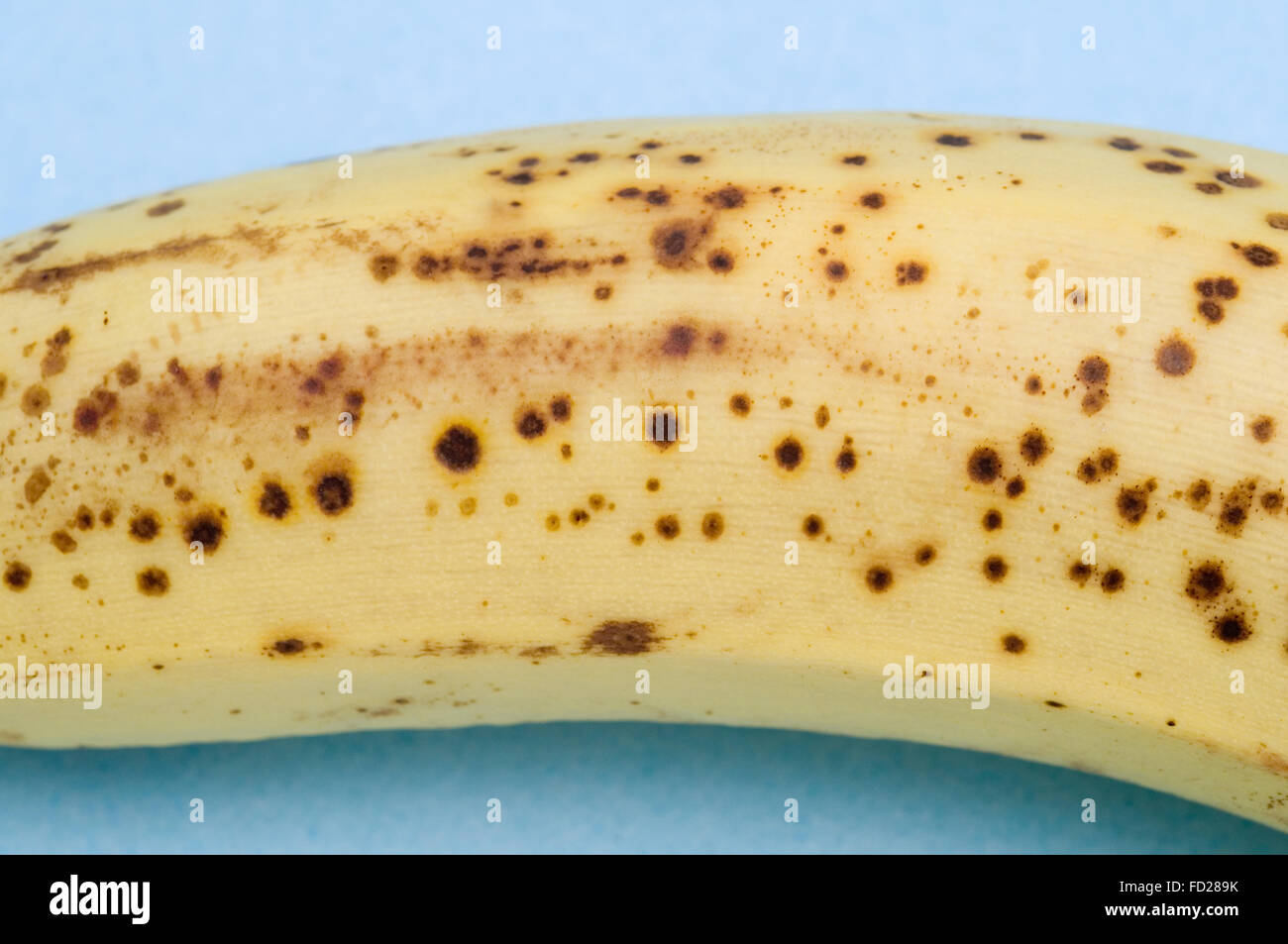 Banana peel pattern hi-res stock photography and images - Alamy