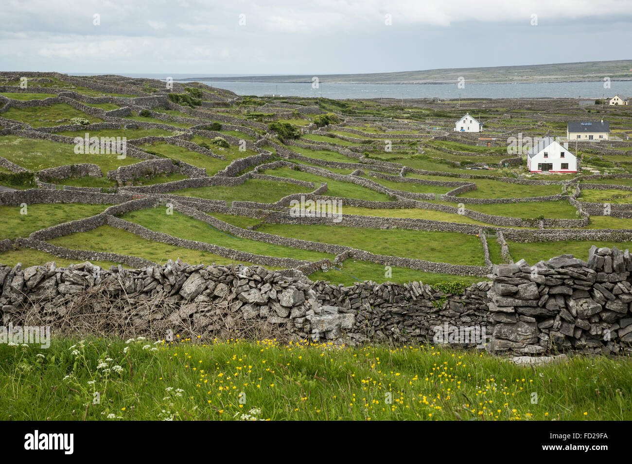the Aran island of Inisheer Stock Photo - Alamy
