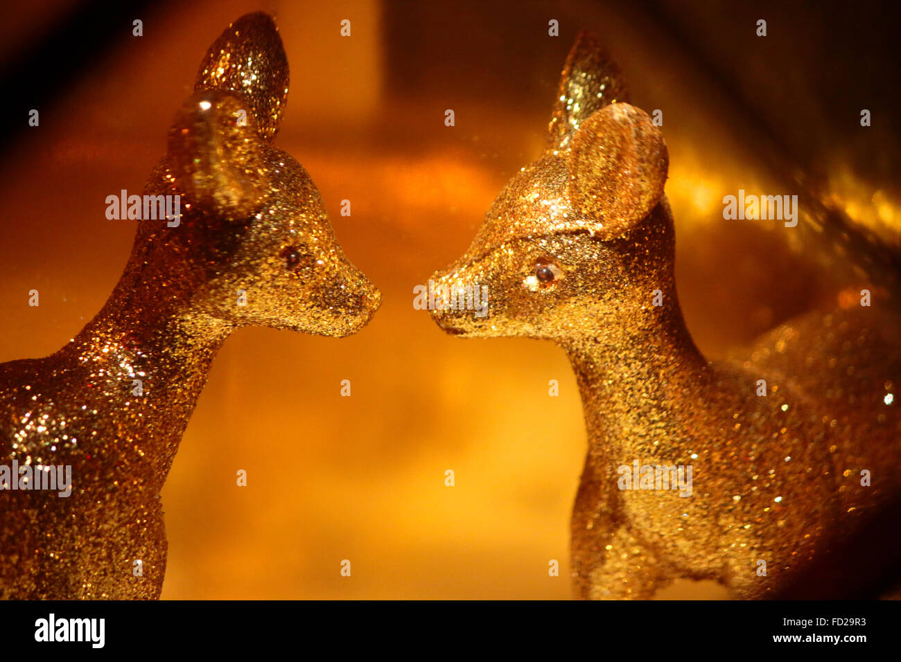 zwei goldenen Rehkitze, Berlin Stock Photo - Alamy