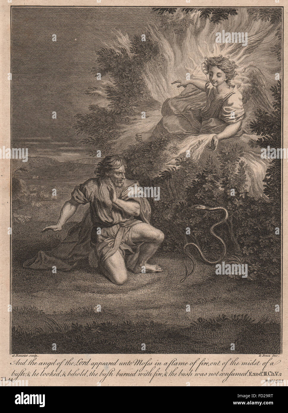 BIBLE: Exodus 3:2 Behold the bush burned with fire and was not consumed ...