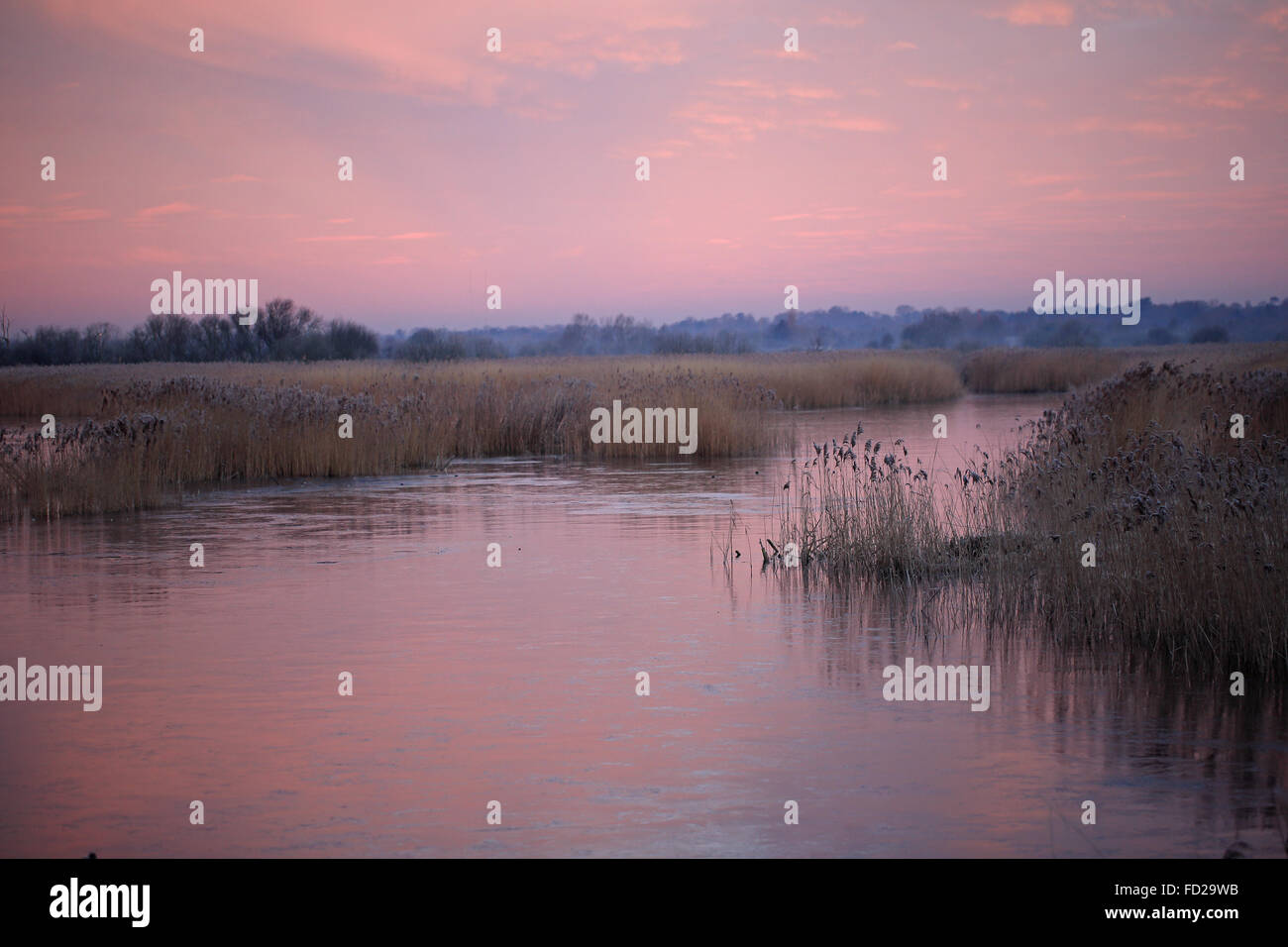 Strumpshaw hi-res stock photography and images - Alamy
