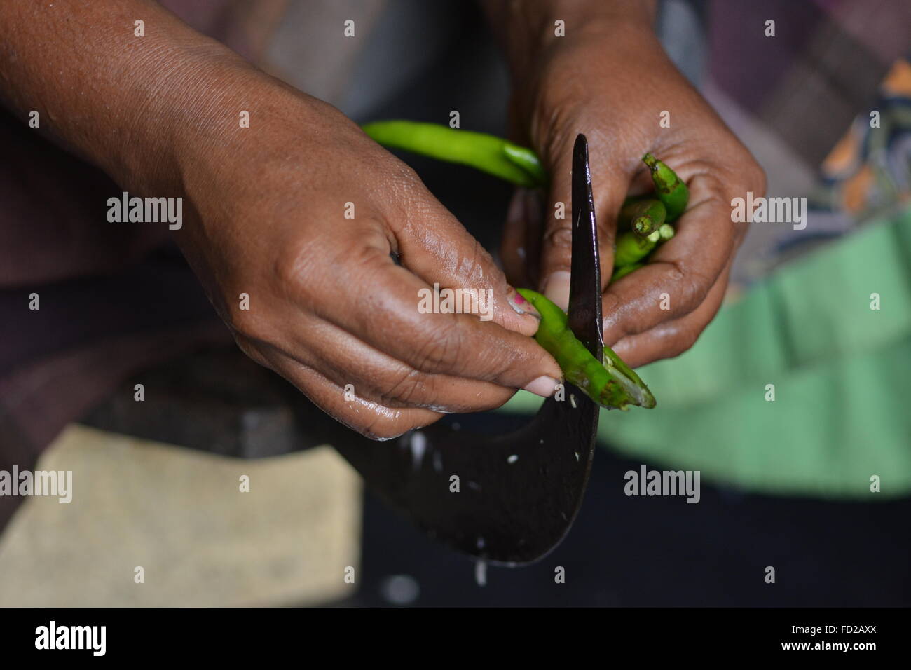 Mumbai, India - October 28, 2015 - Woman cutting chili and onions on a ...