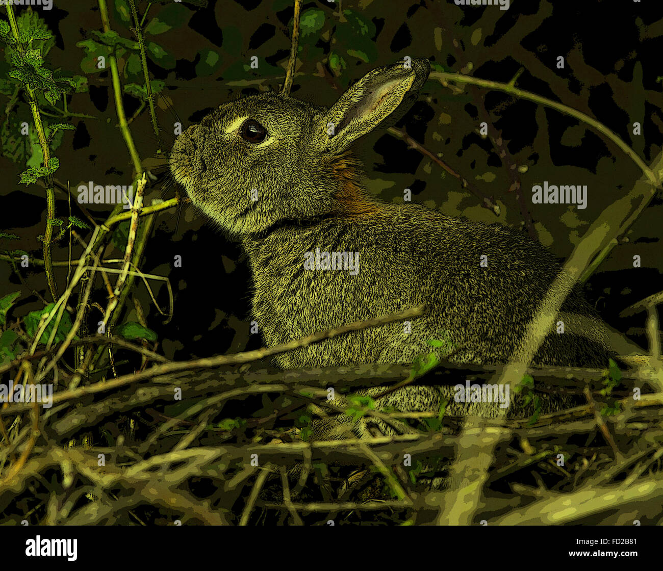 Abstract rabbit hi-res stock photography and images - Alamy