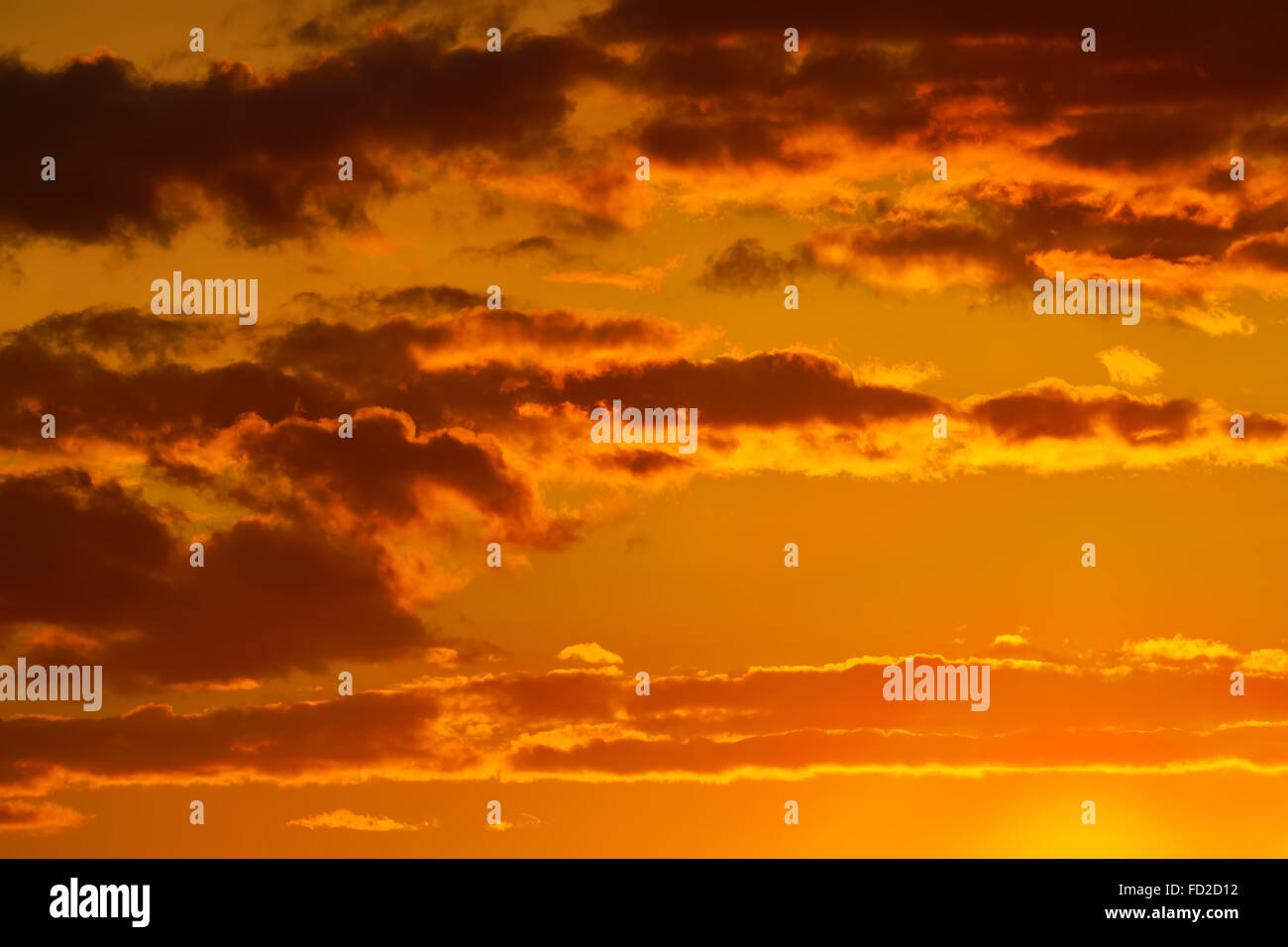 Heavenly landscape with dramatic gold sunset clouds Stock Photo - Alamy