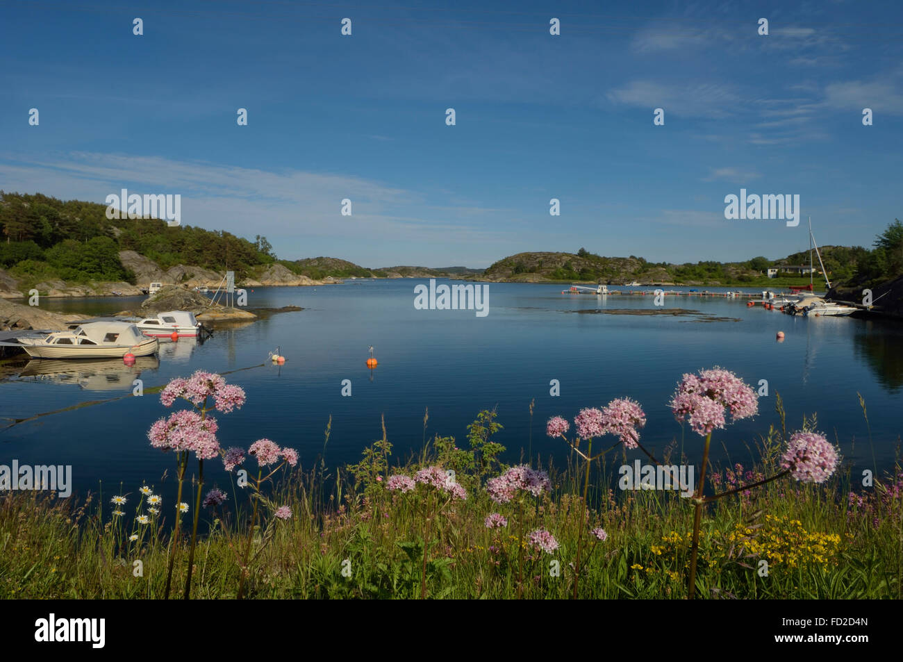 Flaton Island High Resolution Stock Photography and Images - Alamy