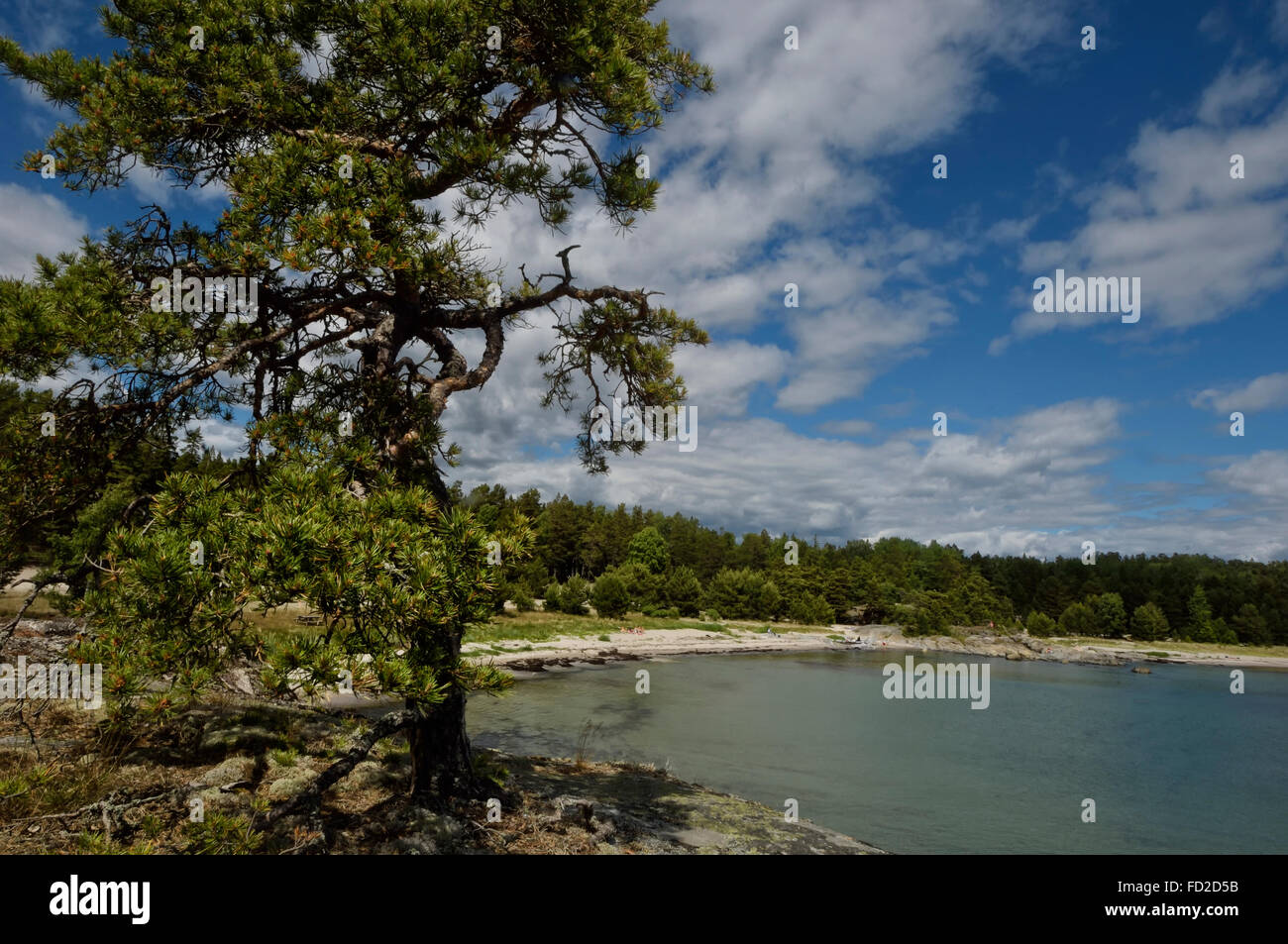 Stora sand beach at Uto island. Stockholm archipelago. Sweden Stock ...