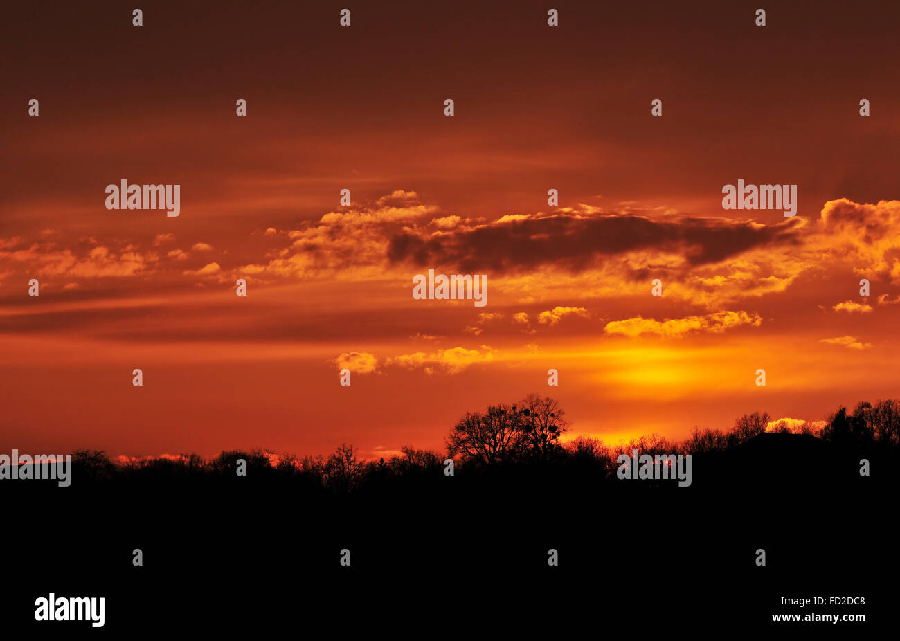 Orange coloured sky at sunset and tree silhouettes Stock Photo - Alamy