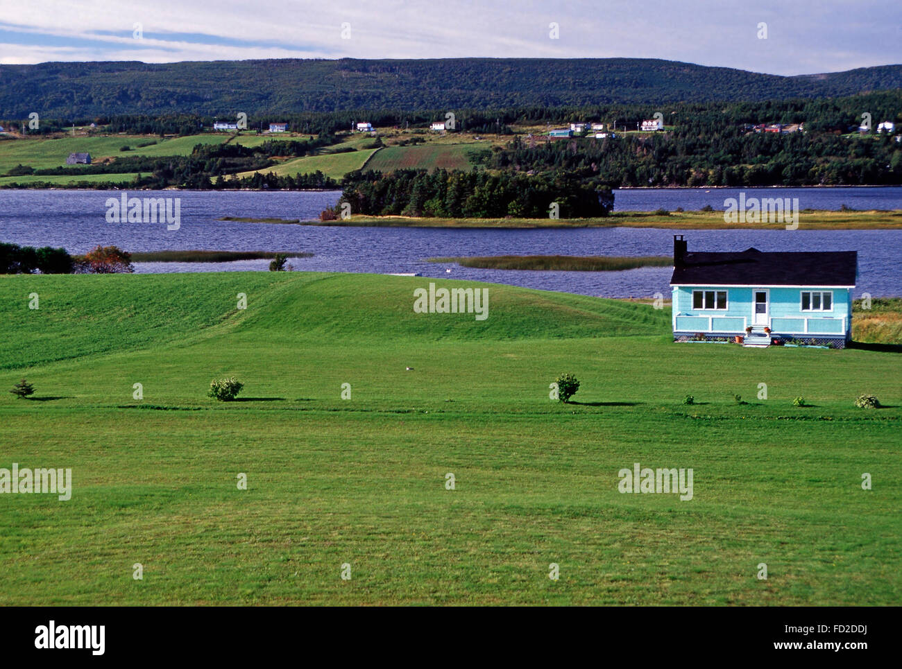 Newfoundland farm hi-res stock photography and images - Alamy