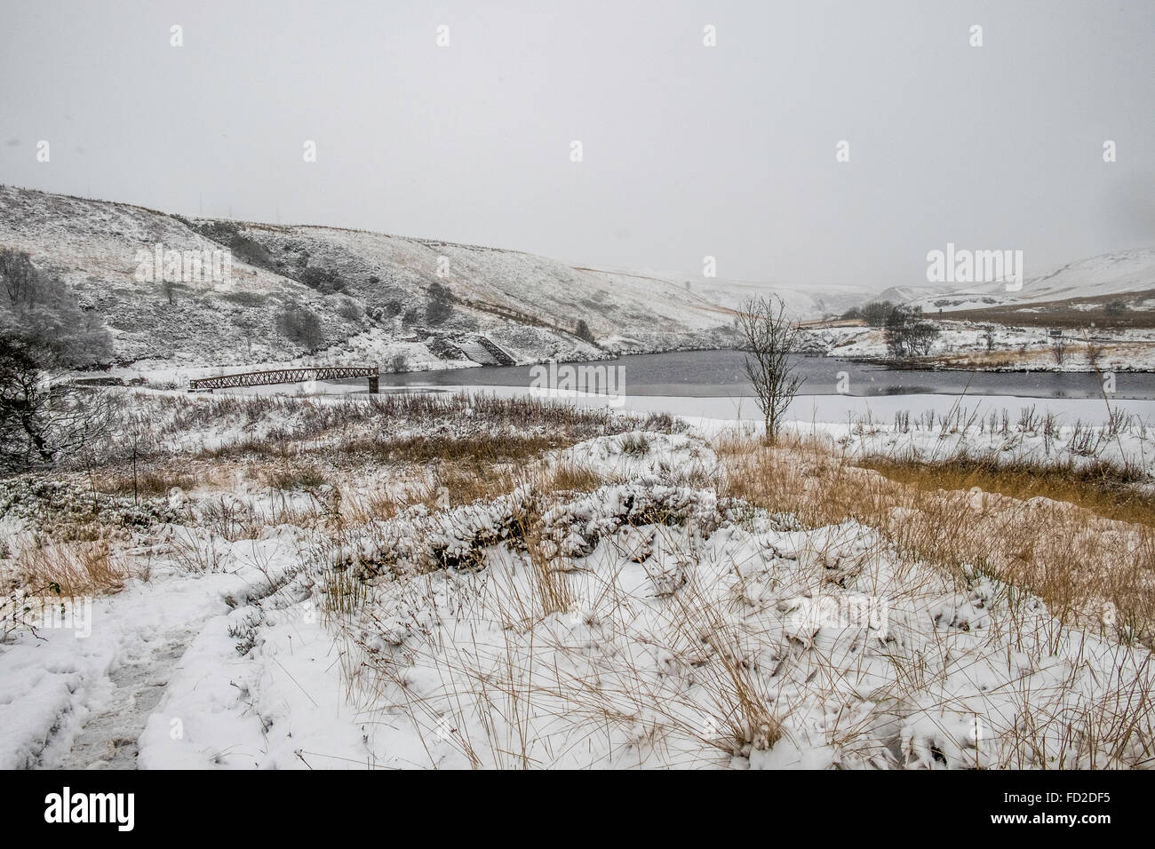Snow fall on hillside Stock Photo - Alamy