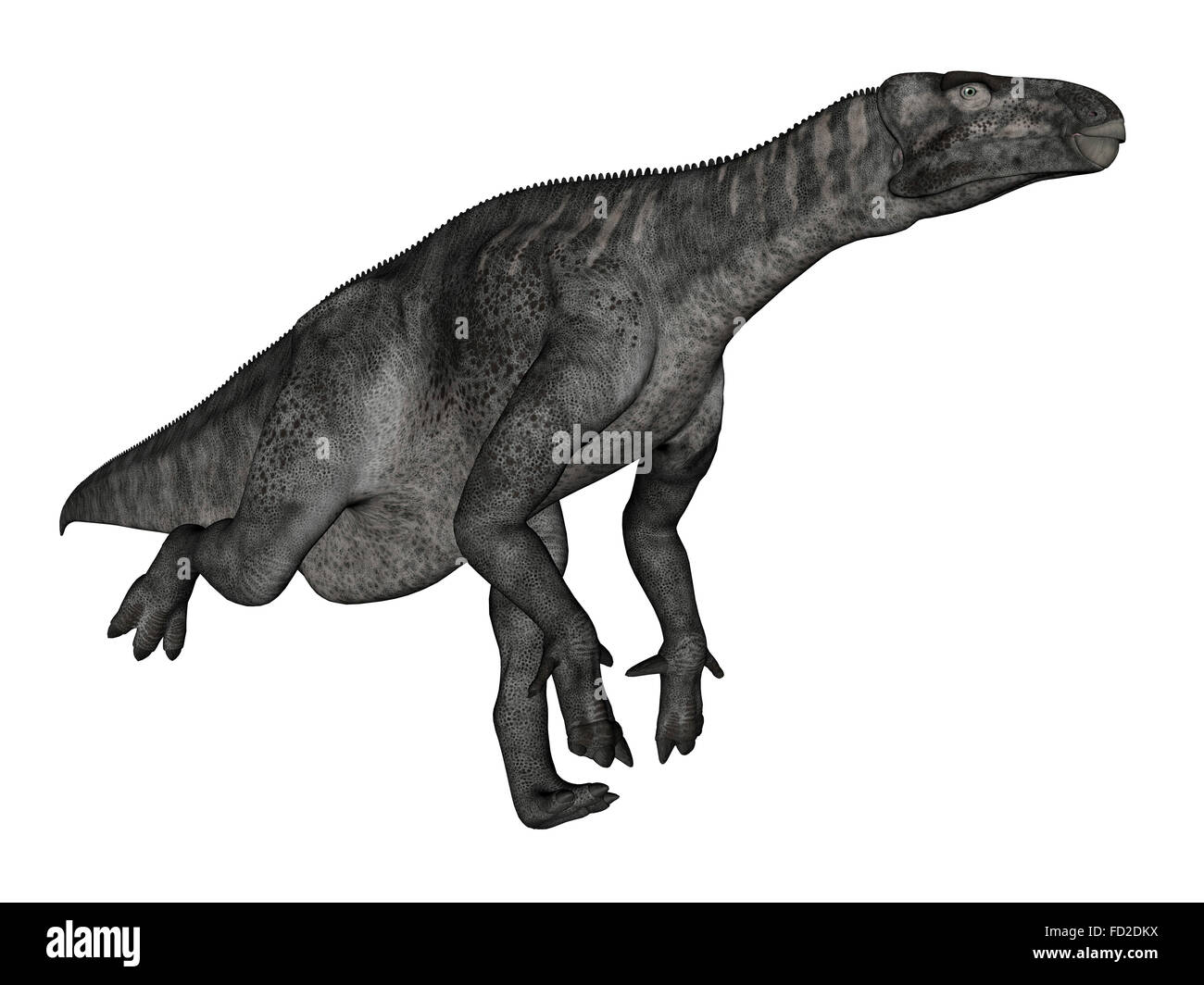 Ornithopod dinosaur hadrosaur hi-res stock photography and images - Alamy