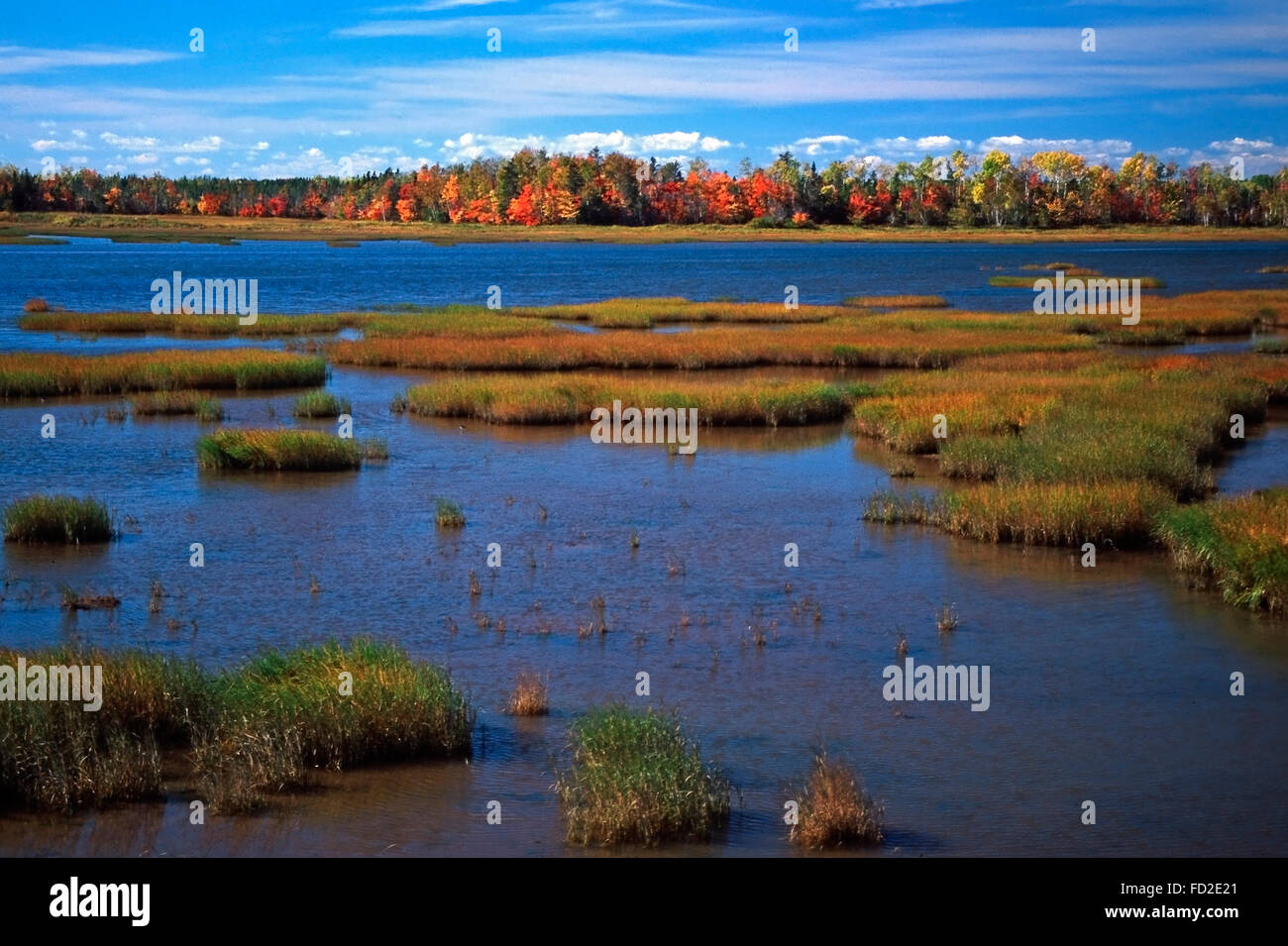 A fall scene on the Caraquet River,New Brunswick Stock Photo - Alamy