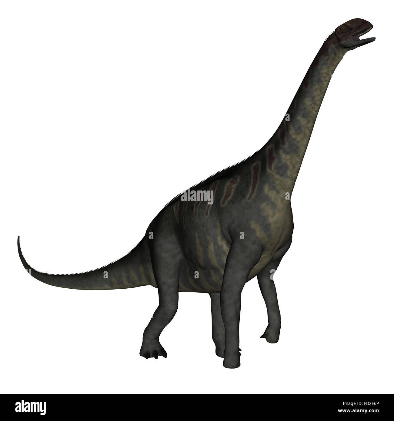 Jobaria dinosaur on white background Stock Photo - Alamy