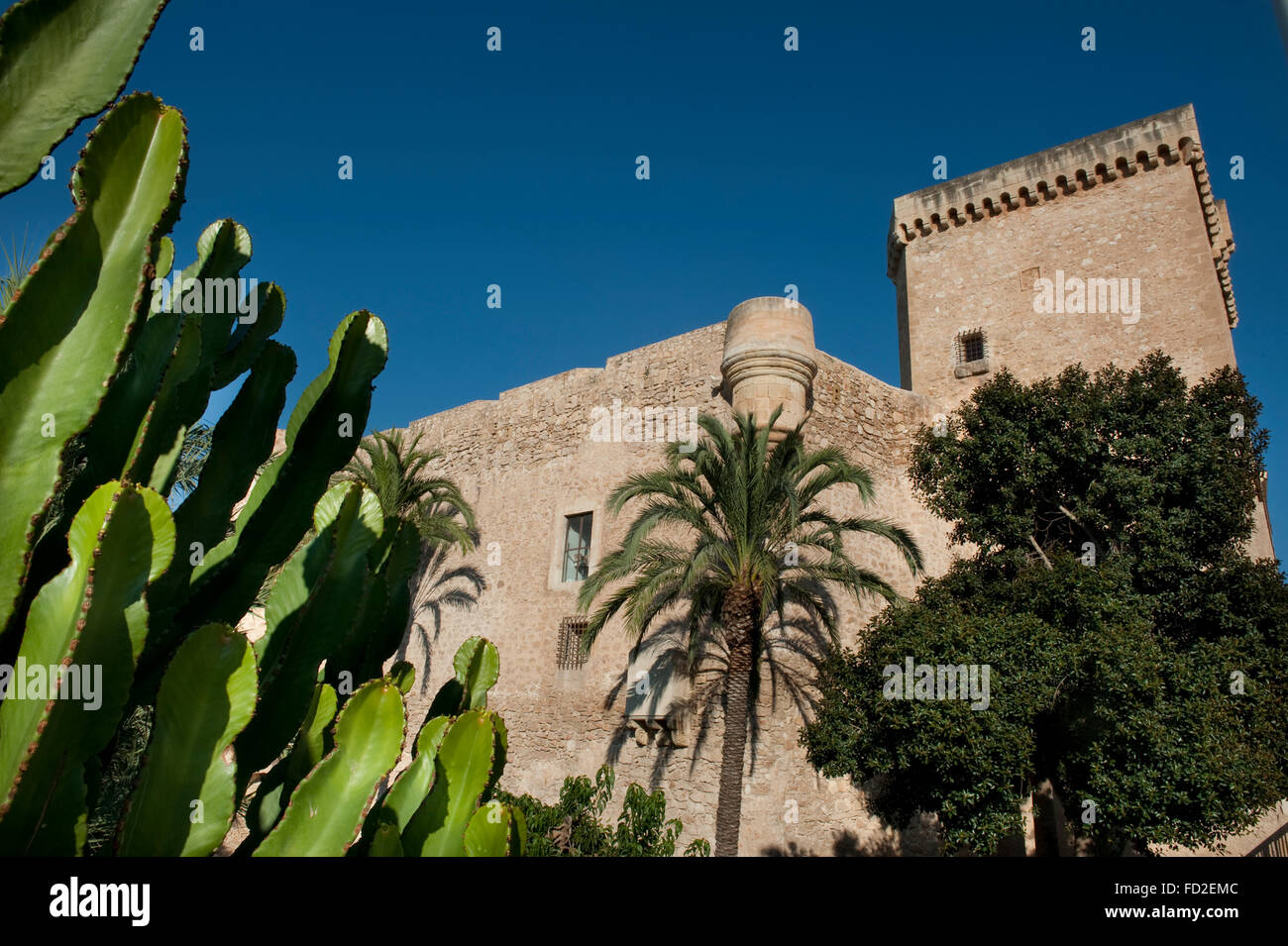 Elx High Resolution Stock Photography and Images - Alamy