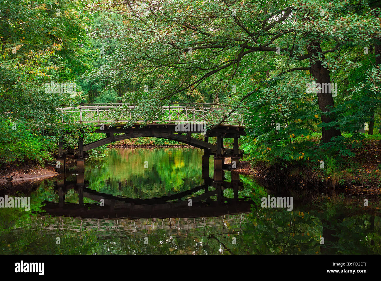 Bridge over pond in park Stock Photo - Alamy