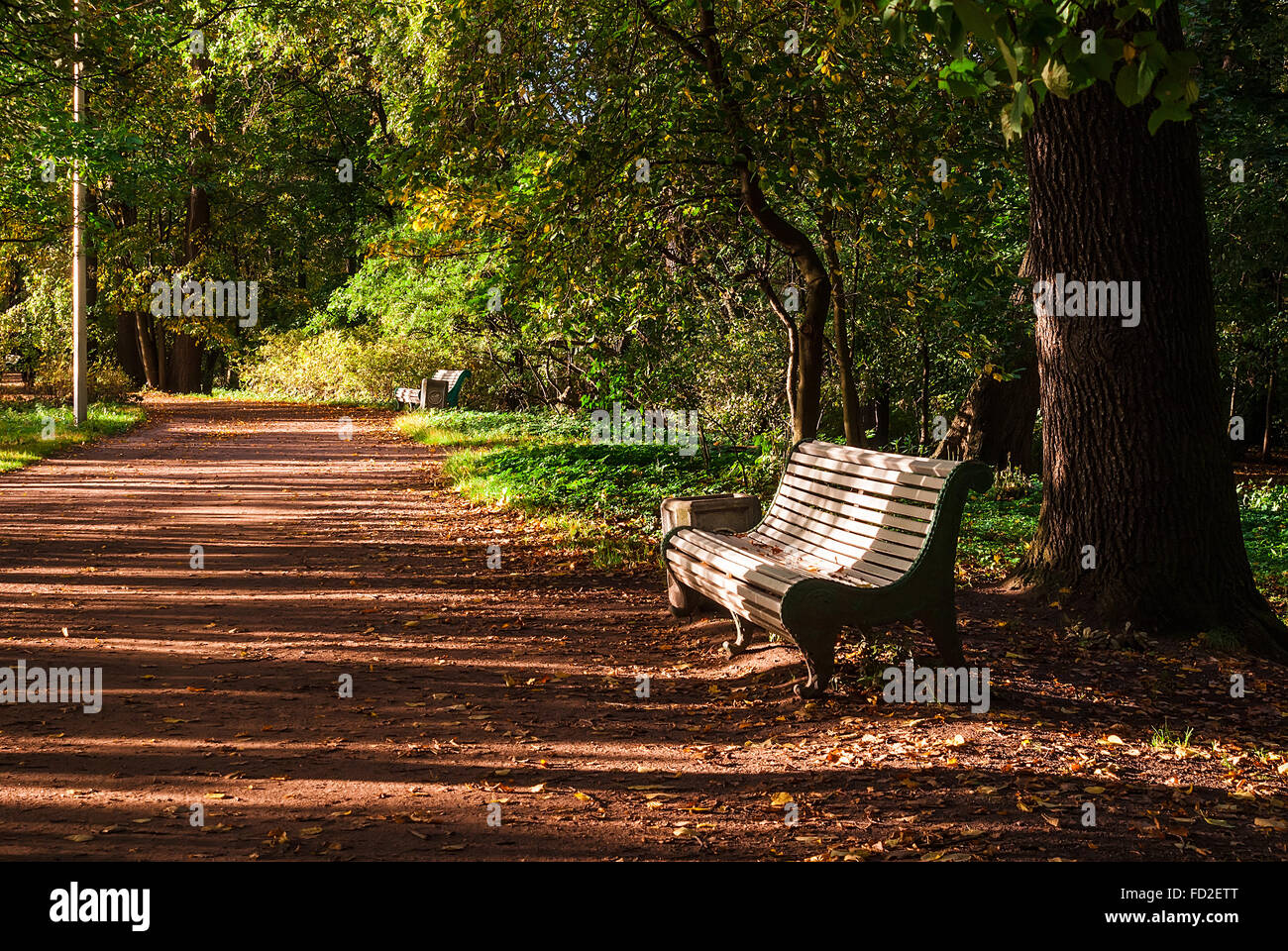 Park alley with benches Stock Photo - Alamy