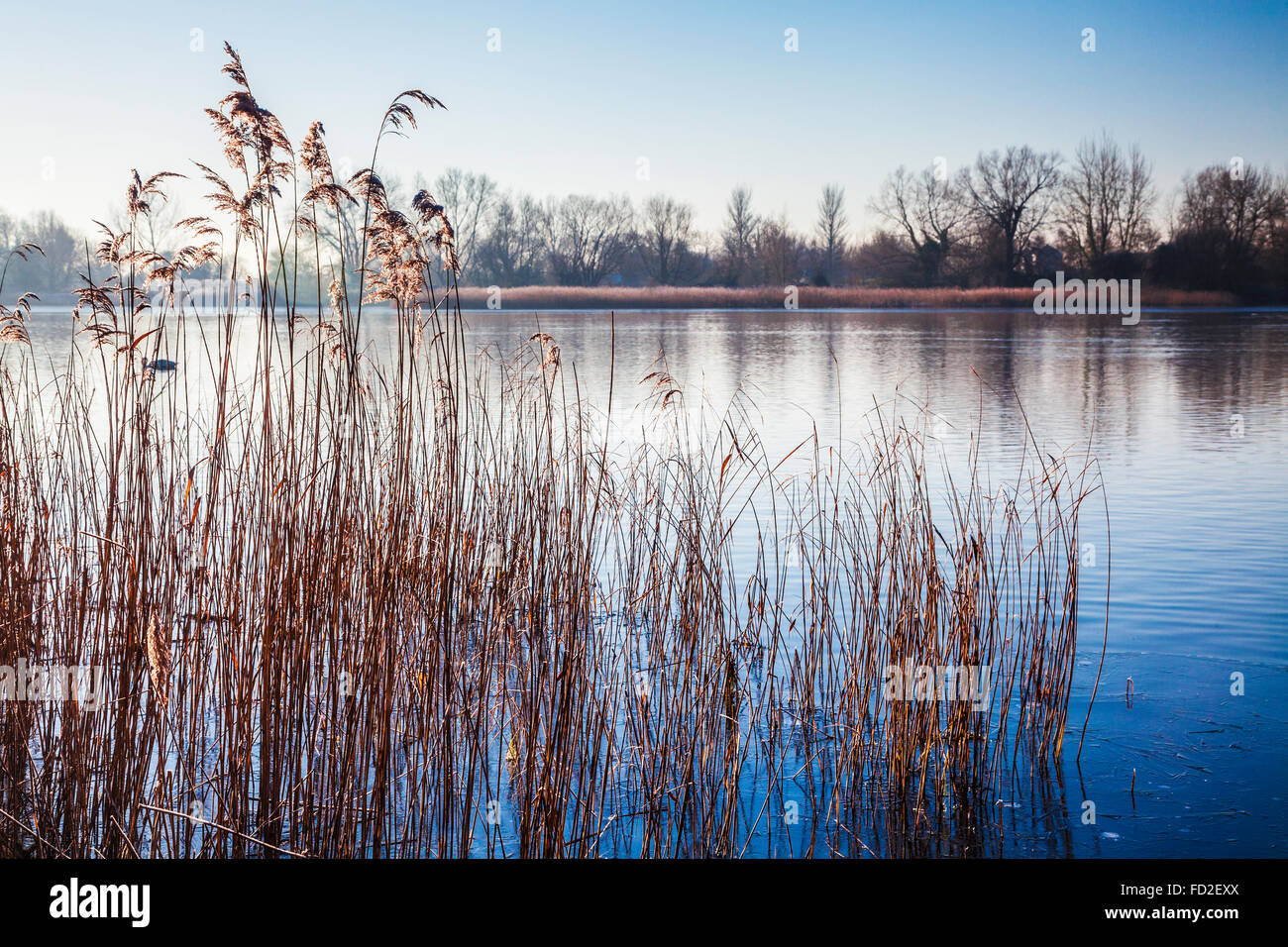 Cold water lakes hi-res stock photography and images - Alamy