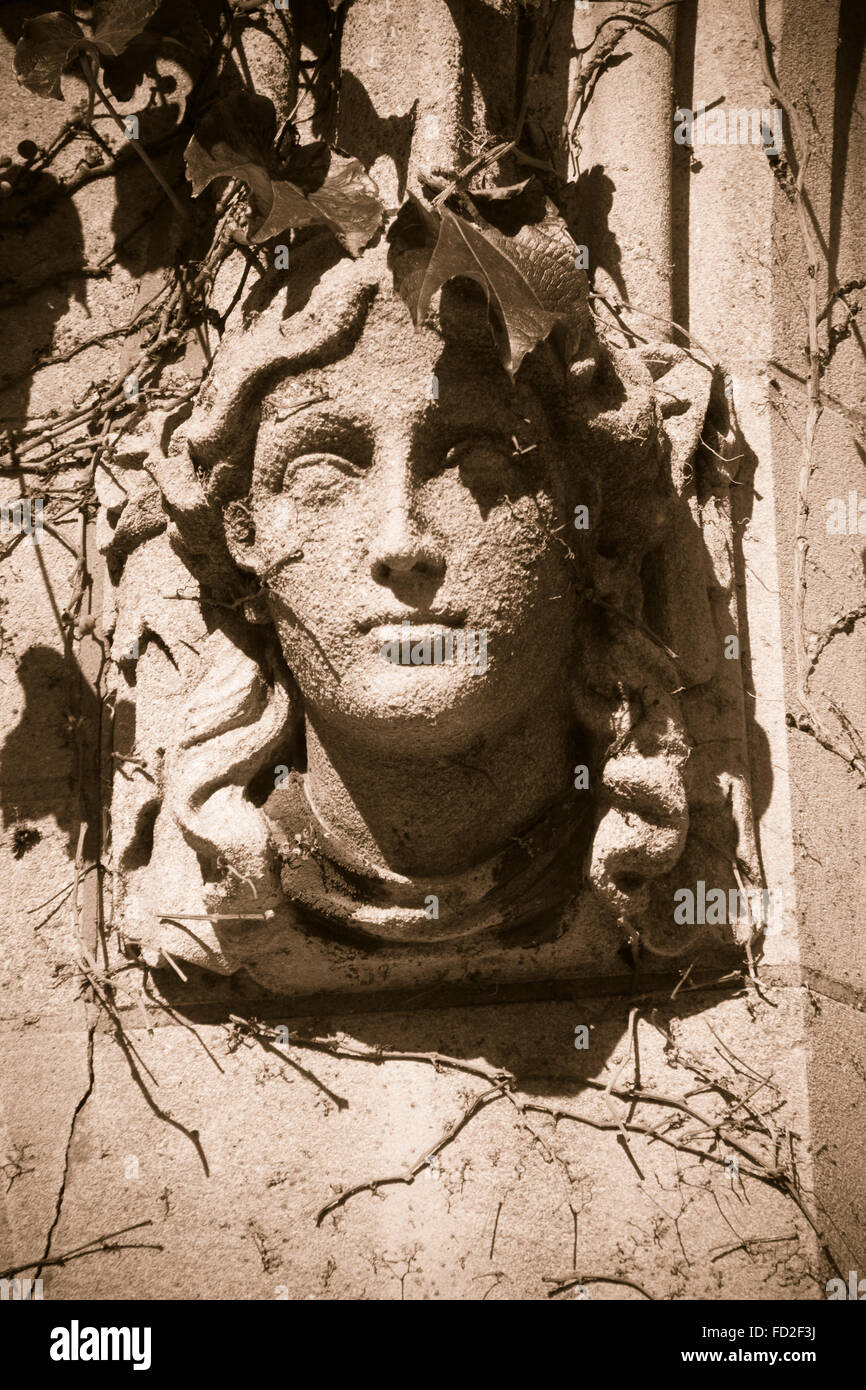 Sculpture Of Female Head at Douglas Byrd blog