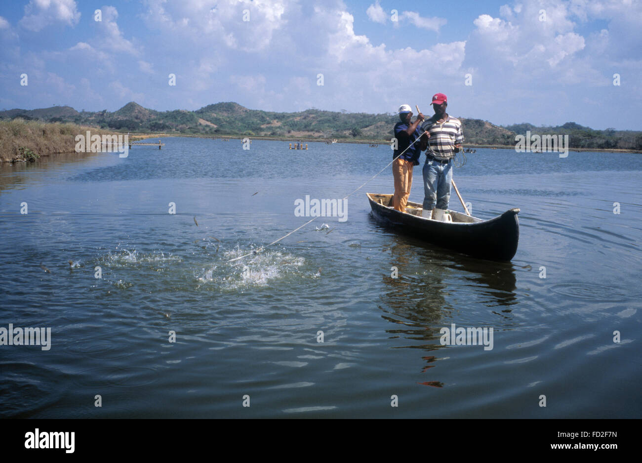Workers feeding shrimp in the massive shrimp pools at the Cartacua ...
