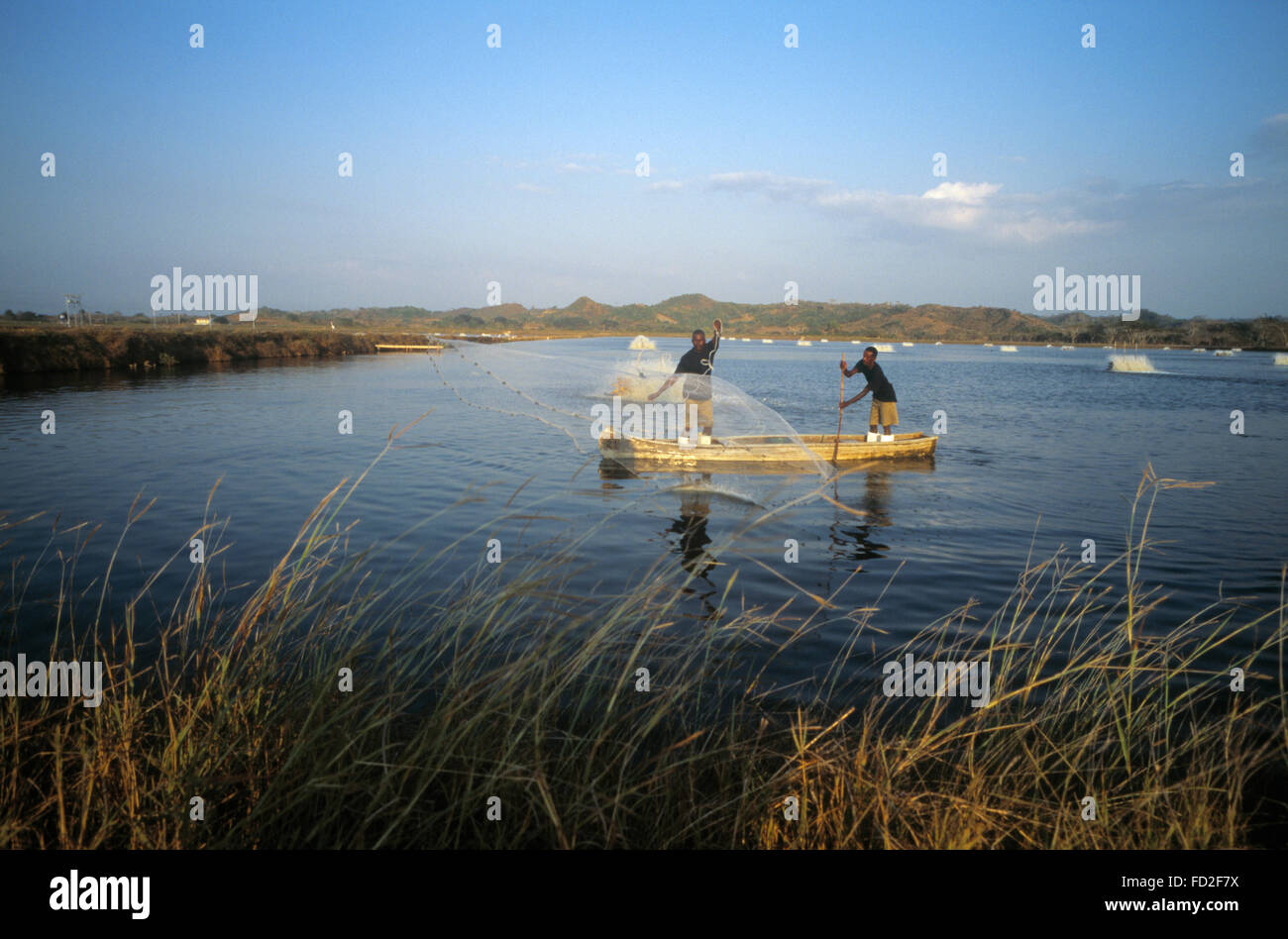 Workers feeding shrimp in the massive shrimp pools at the Cartacua ...