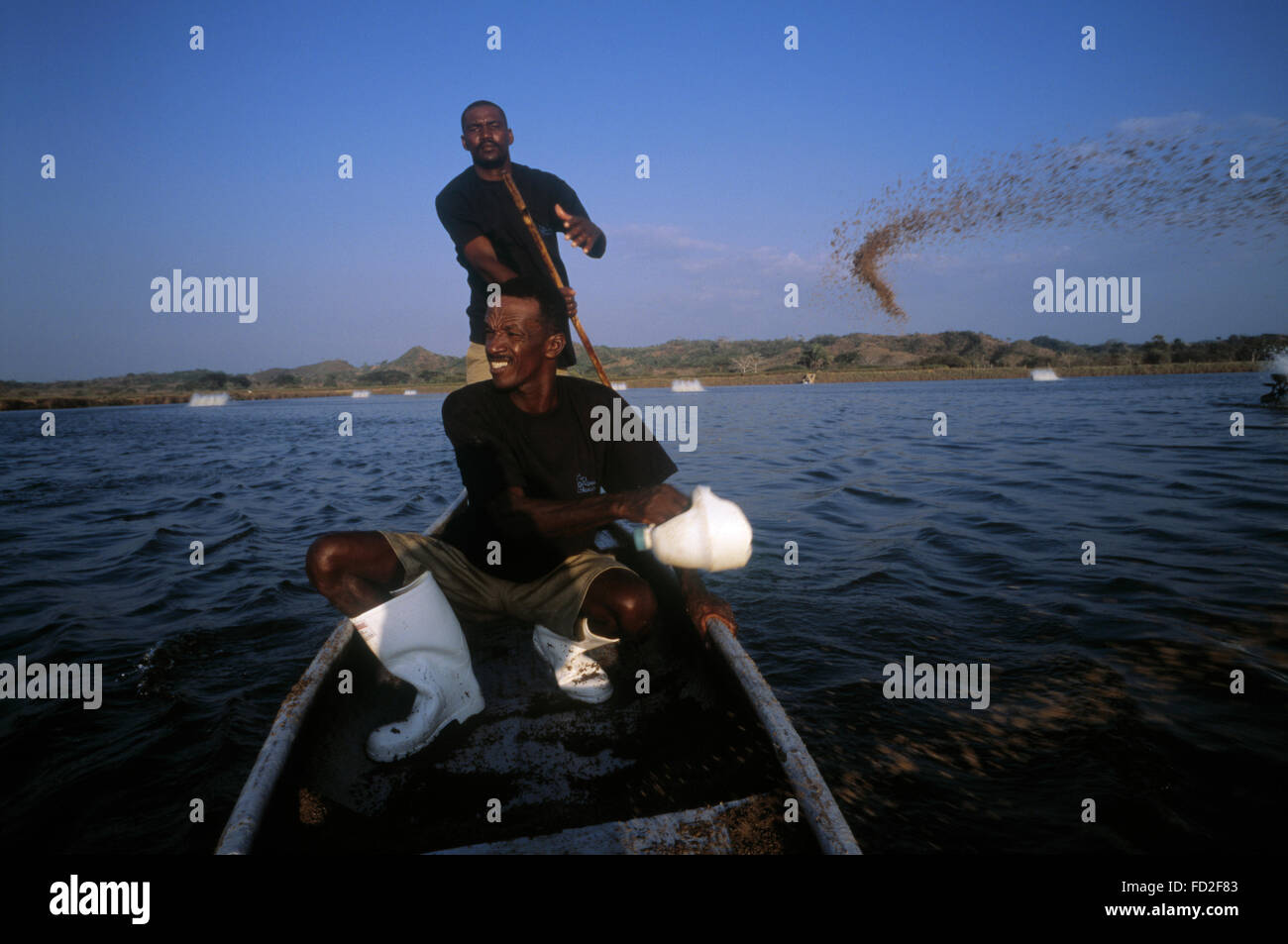 Workers feeding shrimp in the massive shrimp pools at the Cartacua ...