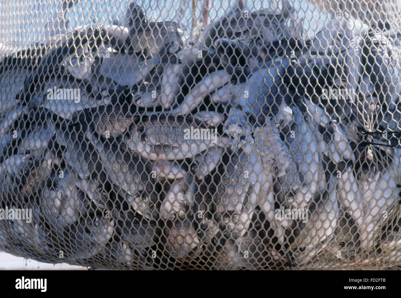Sustainable farming greece hi-res stock photography and images - Alamy