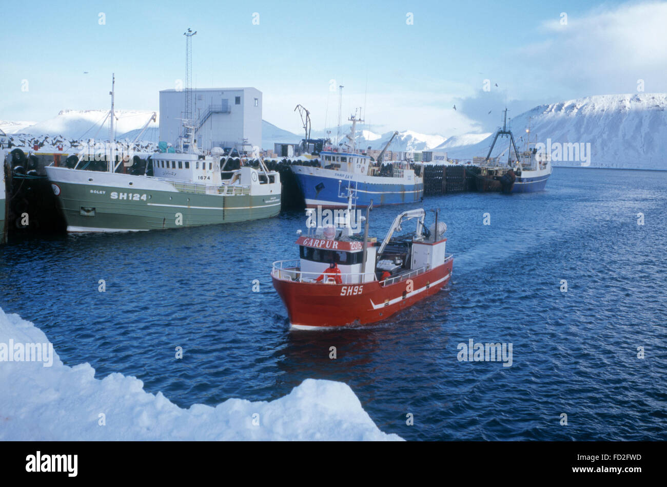 Cod and cold water prawn fishing in Grundarfjordur Iceland Stock Photo ...