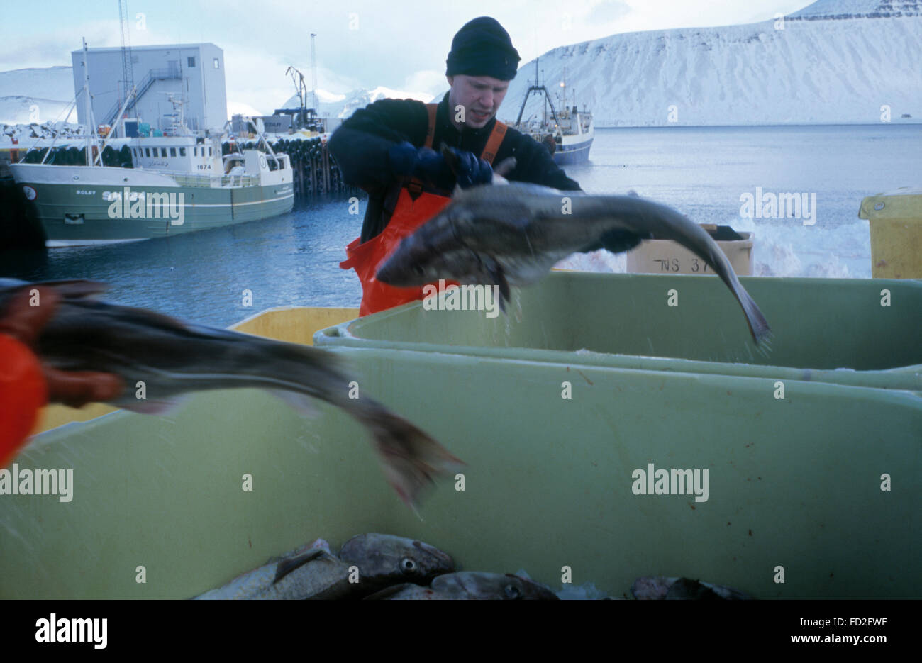 Demersal Fishes High Resolution Stock Photography and Images - Alamy