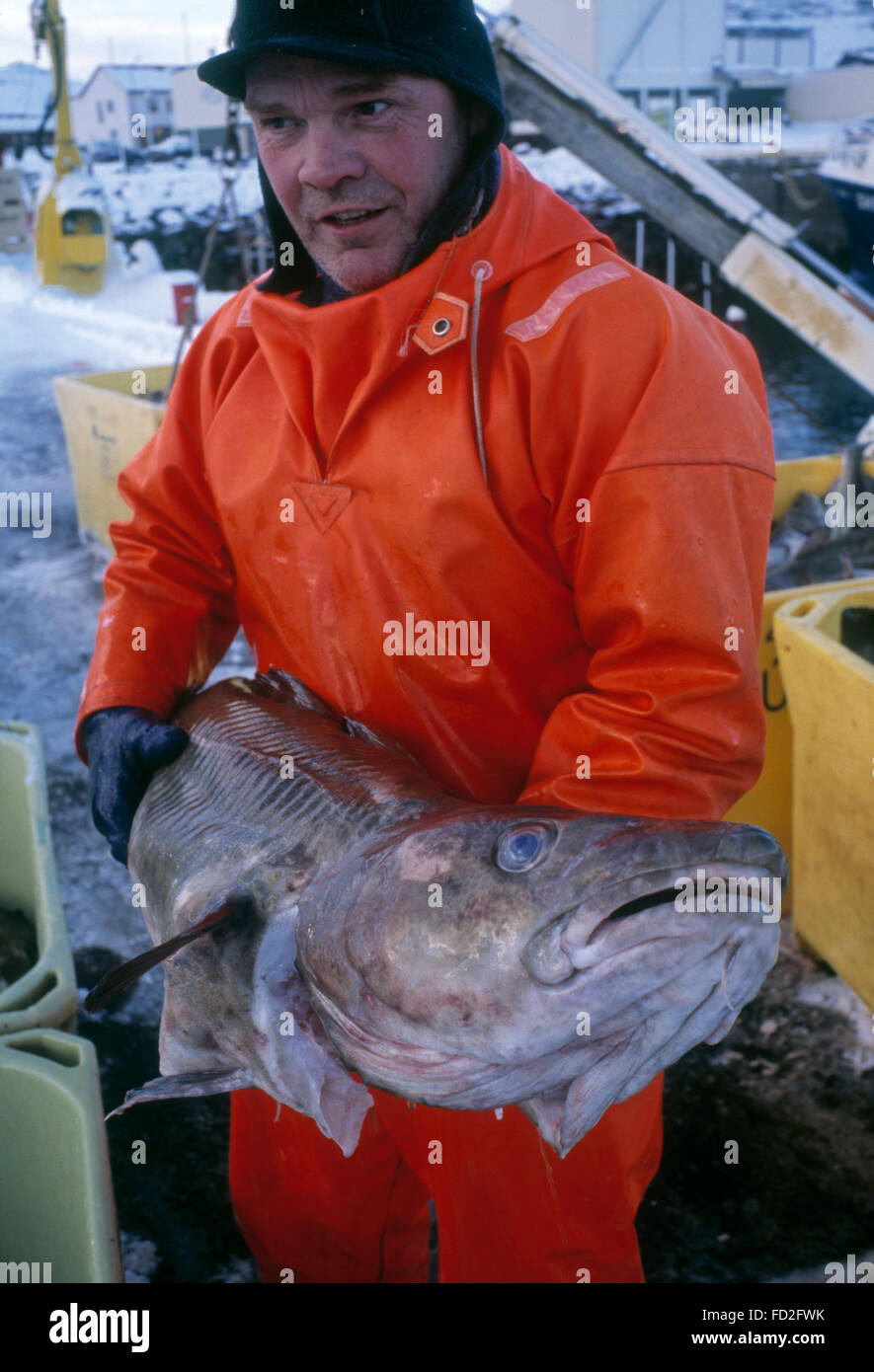 Demersal fishes hi-res stock photography and images - Alamy