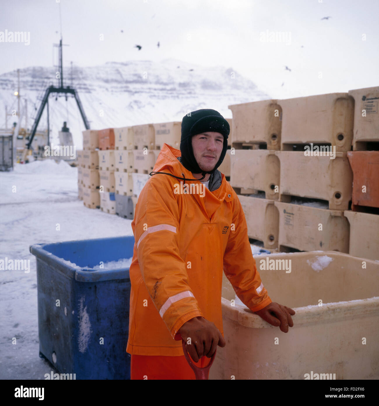 Cod and cold water prawn fishing in Grundarfjordur Iceland Stock Photo ...