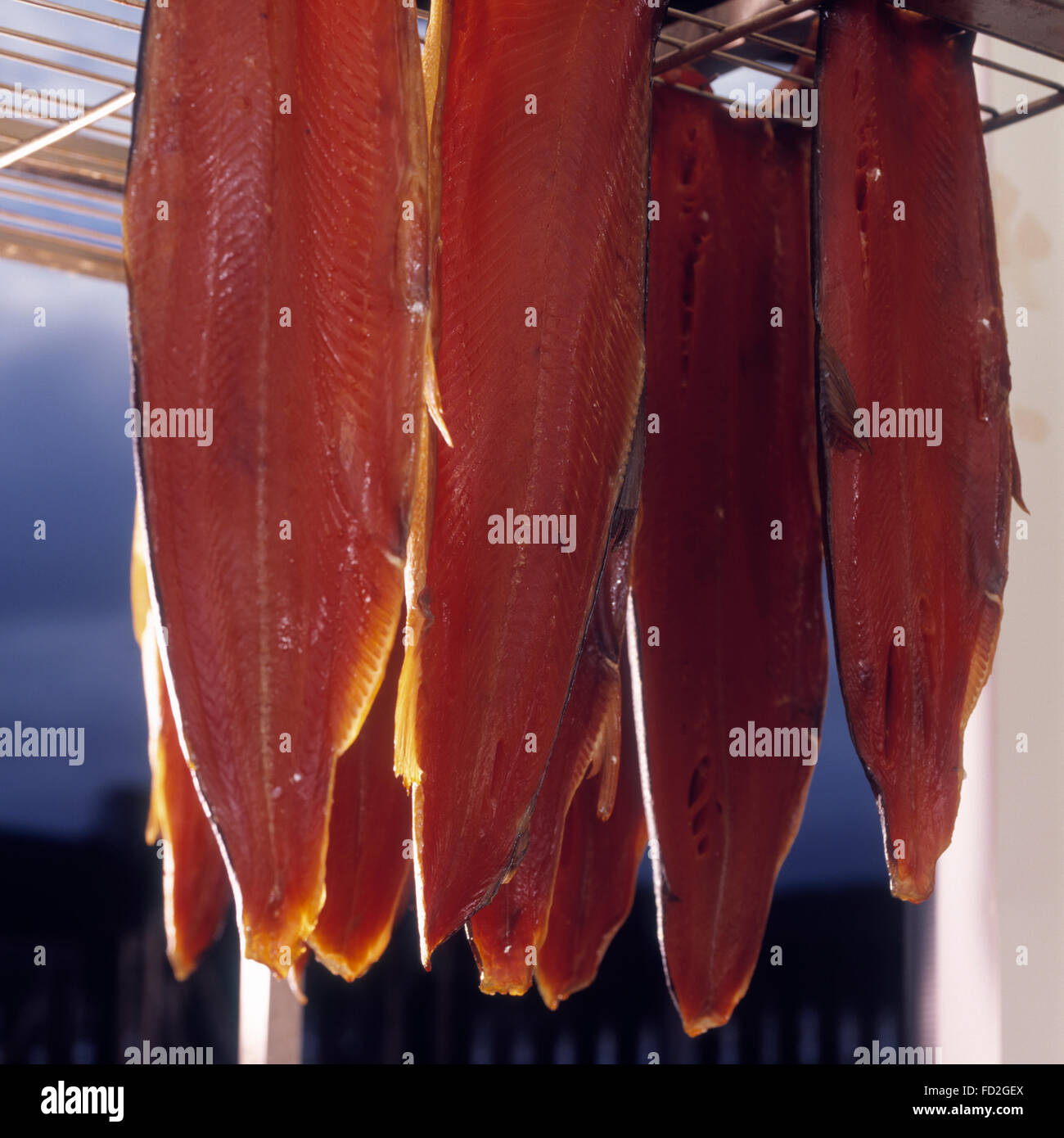 Marilyn Rattray and salmon smoking expert Jack Wilkinson with some of ...