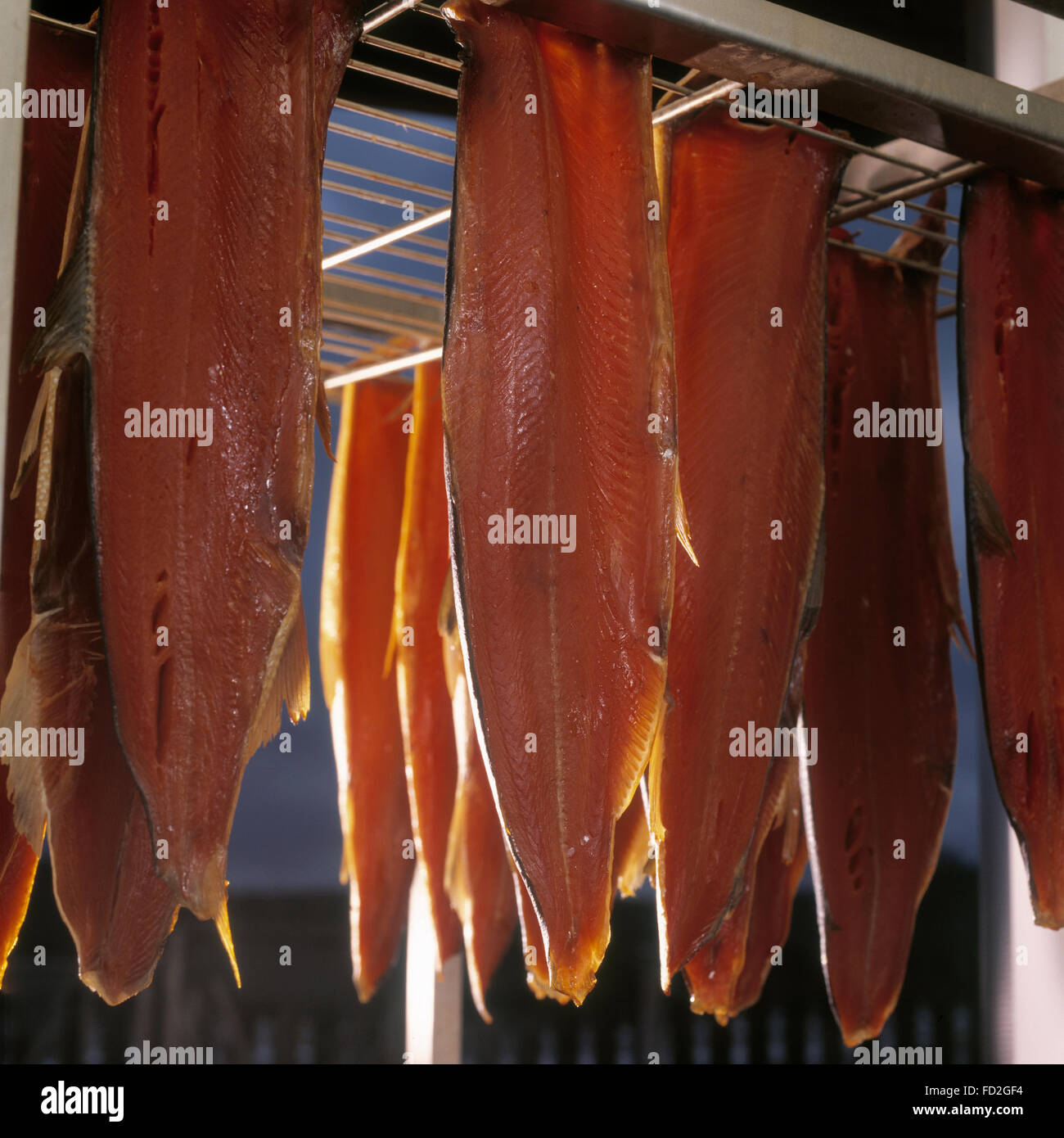Marilyn Rattray and salmon smoking expert Jack Wilkinson with some of ...