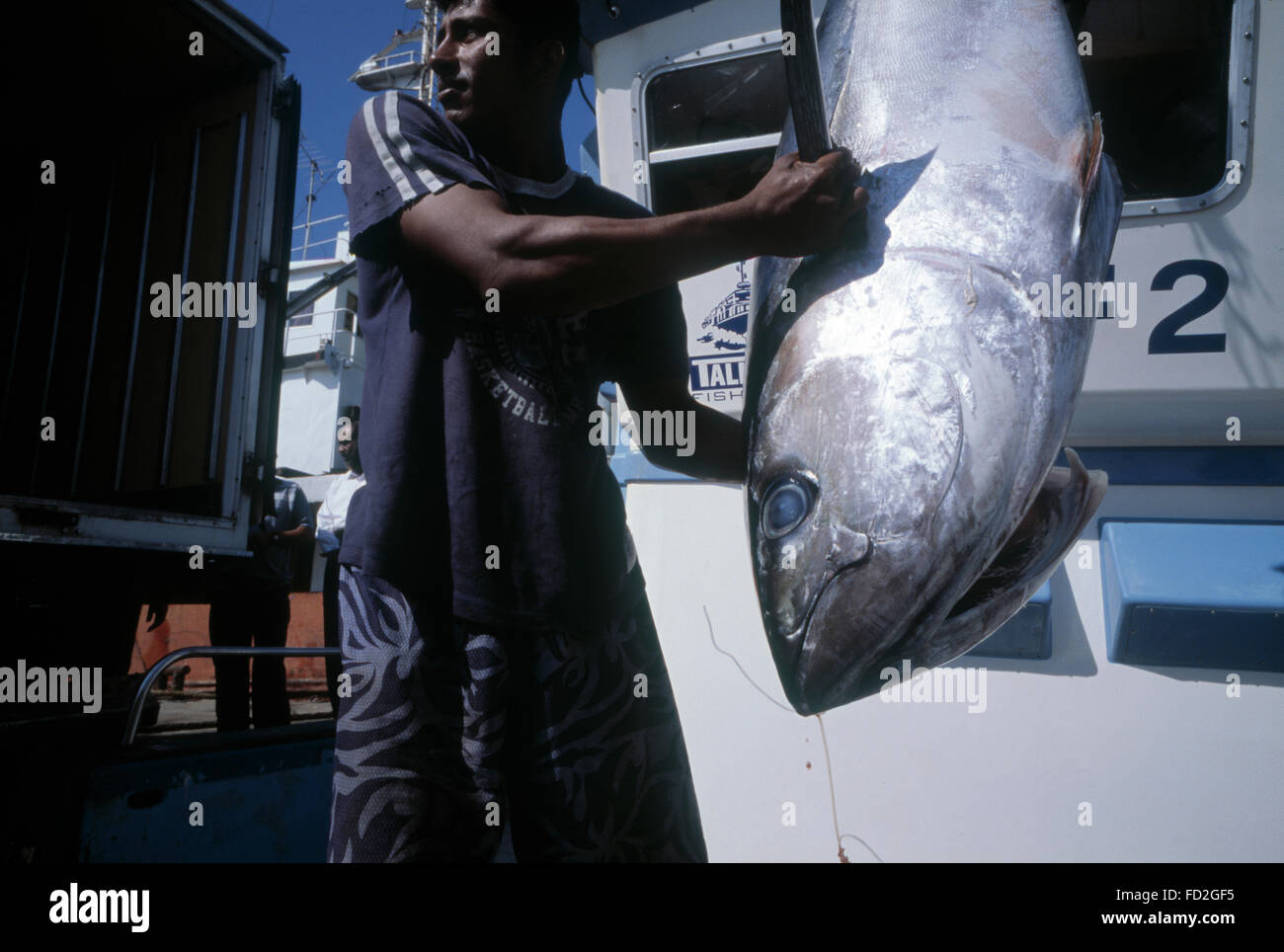 Yellow fin tuna fisherman in the Indian Ocean off the coast Beruwala ...