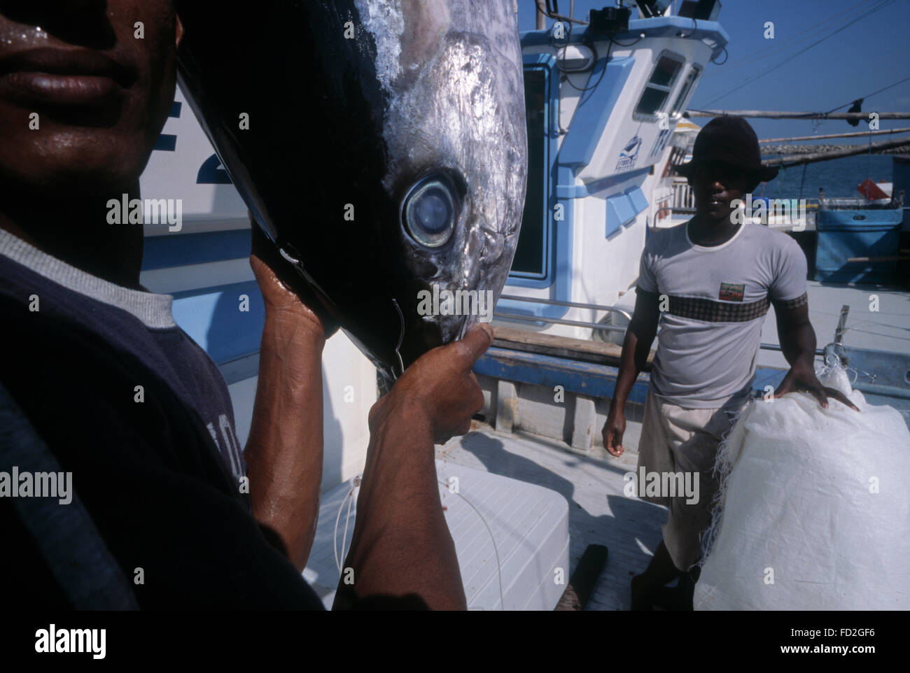 Indian ocean yellow fin tuna fishing hi-res stock photography and ...