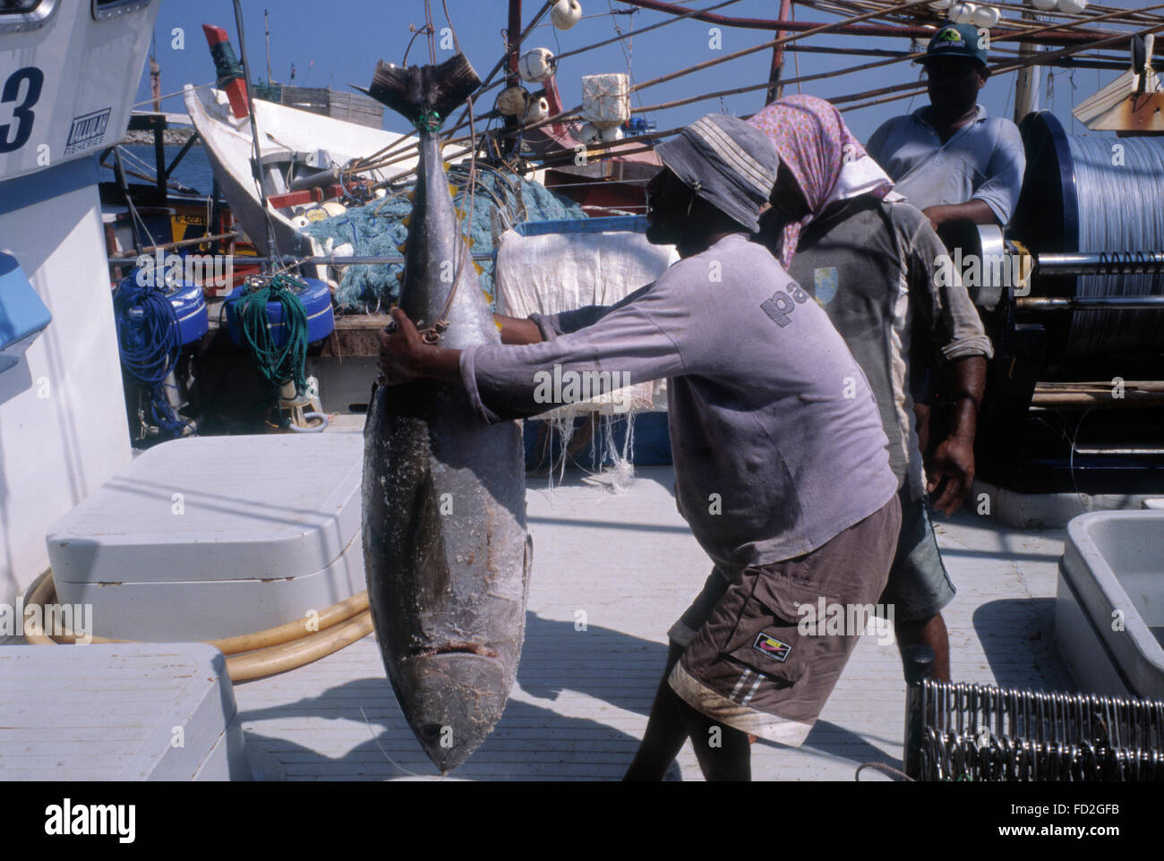 Yellow fin tuna fisherman in the Indian Ocean off the coast Beruwala ...