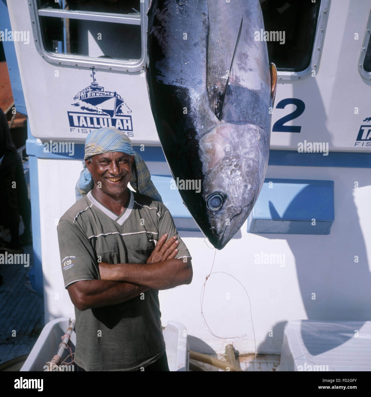 Yellow fin tuna fisherman in the Indian Ocean off the coast Beruwala ...