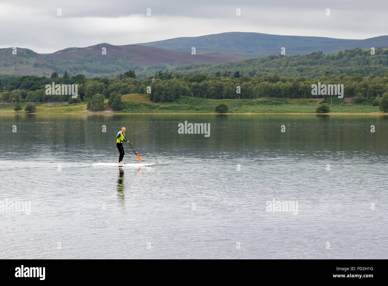 Man paddle boarding on Loch Insh Stock Photo - Alamy