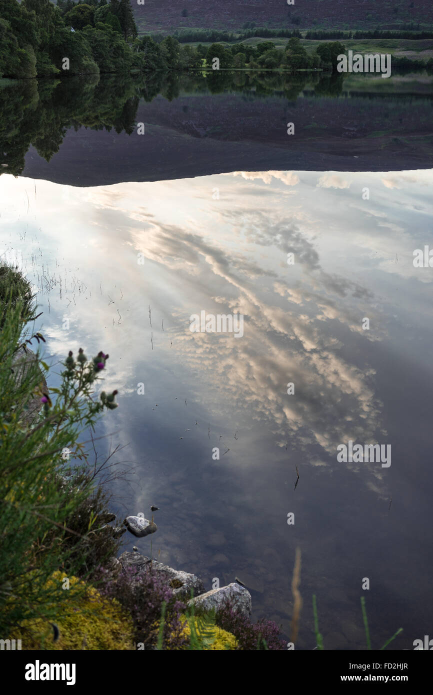 Reflections in Loch Alvie Stock Photo - Alamy