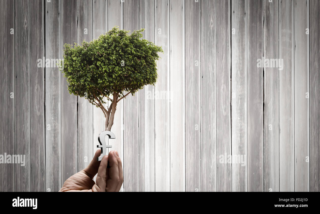 Close up of human hand holding sprout Stock Photo - Alamy