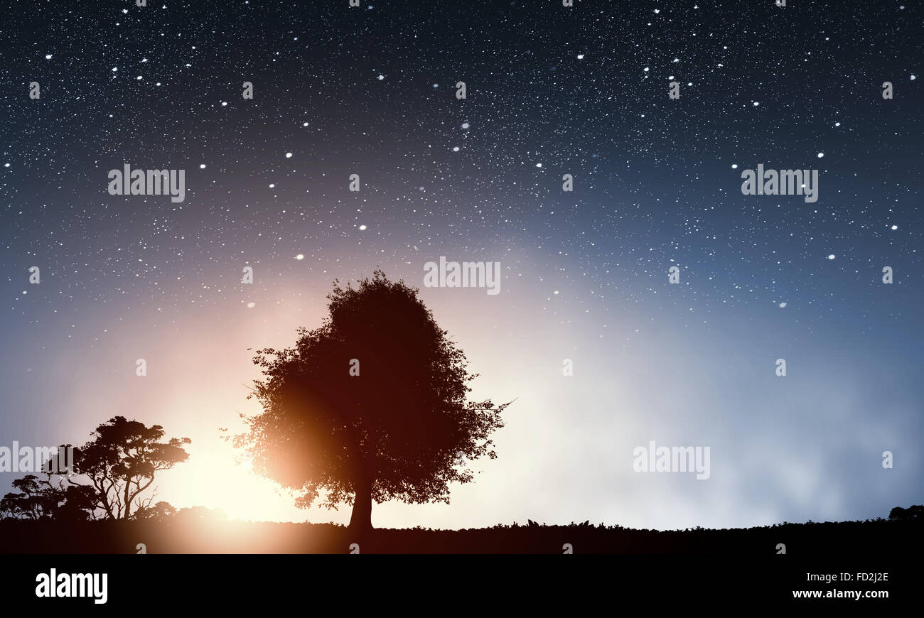 Natural scene with silhouette of tree against sunset light Stock Photo ...